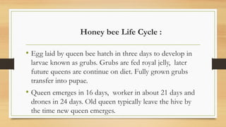 Economic Zoology ppts Apiculture honey bee.pptx