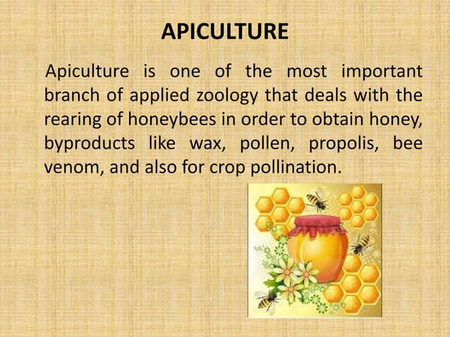 Apiculture an introduction | PPT | Agriculture | Industries