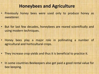 Apiculture an introduction | PPT