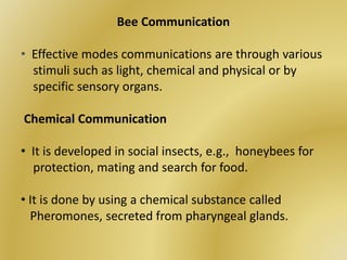 Apiculture bee behavior and communication | PPTX