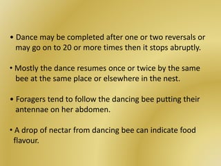 Apiculture bee behavior and communication | PPTX