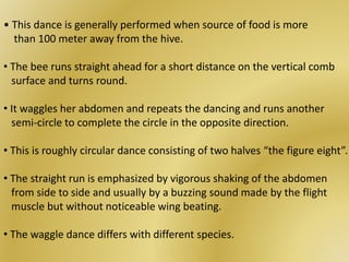 Apiculture bee behavior and communication | PPTX