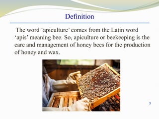 Apiculture yhhuuujjhhhhhhhhhhhhhhhhhhhhh | PPT