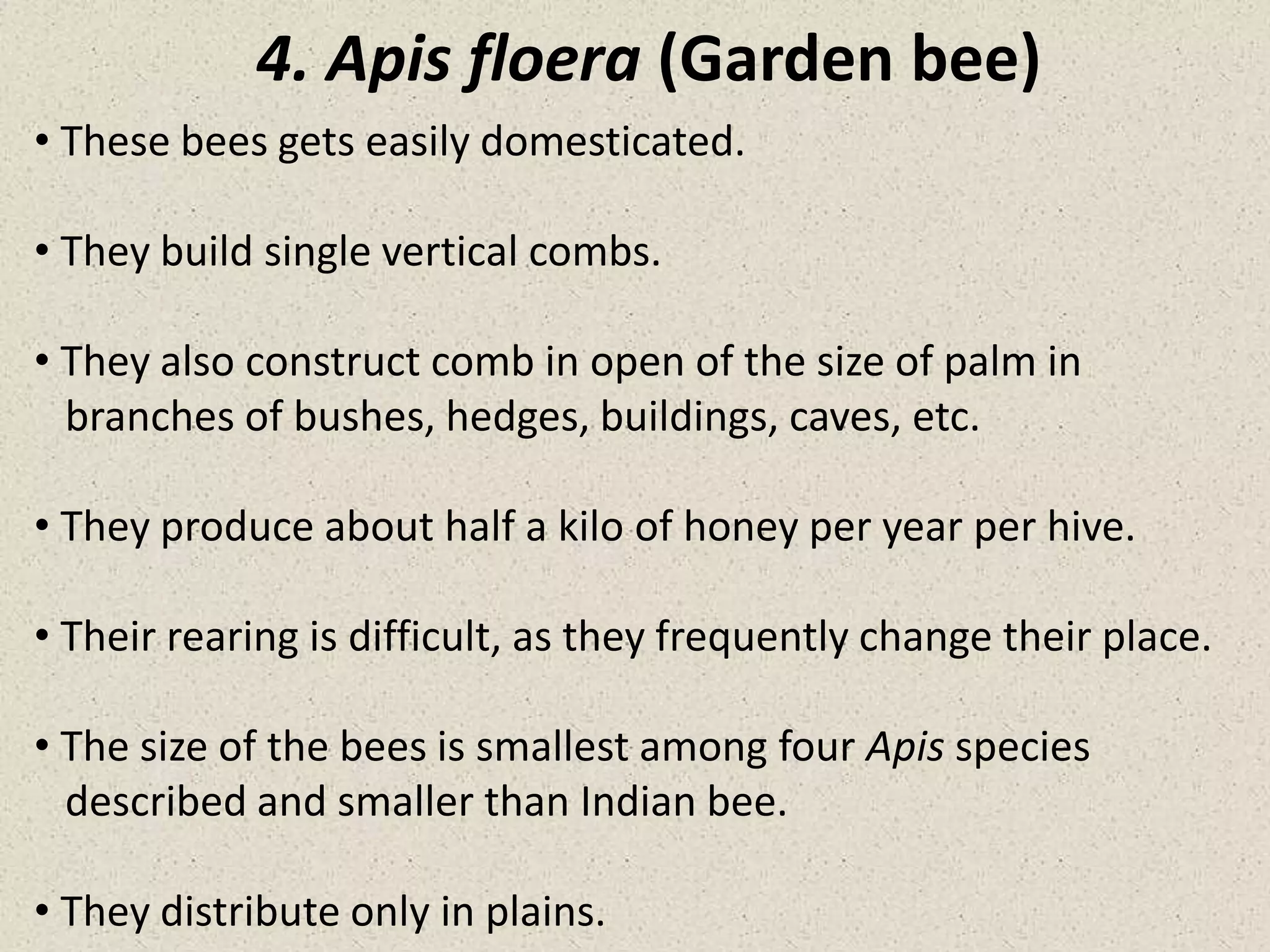 apiculture-typesofhoneybeesandlifecycle-200411174407-1.pdf