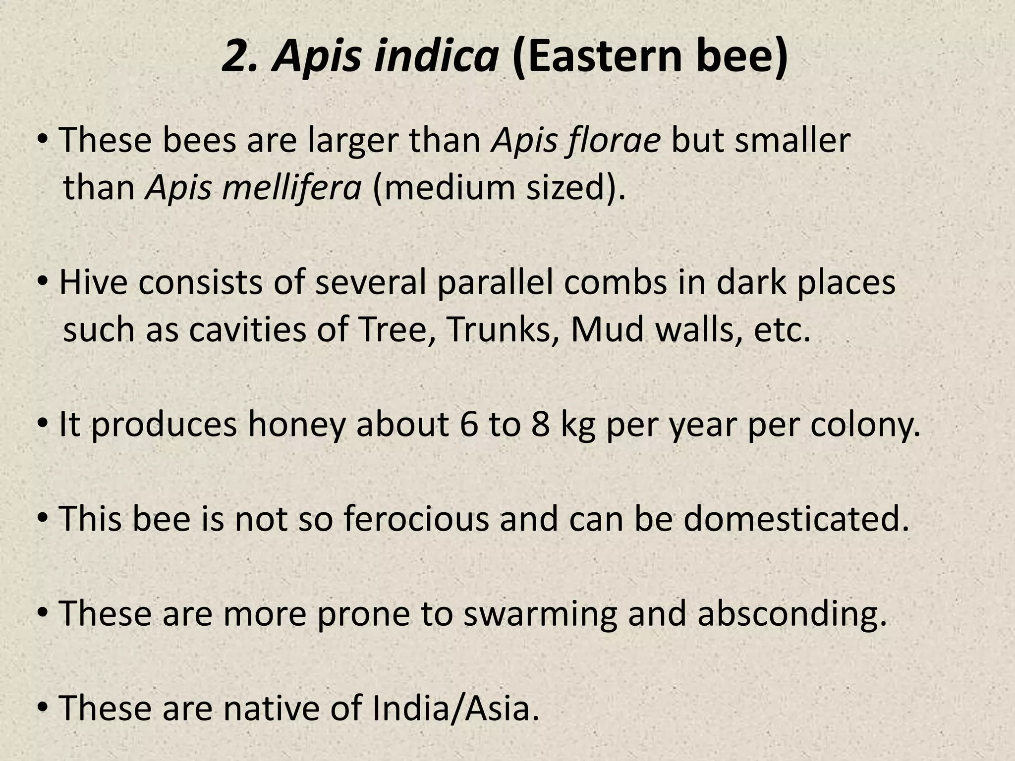 apiculture-typesofhoneybeesandlifecycle-200411174407-1.pdf