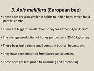 apiculture-typesofhoneybeesandlifecycle-200411174407-1.pdf