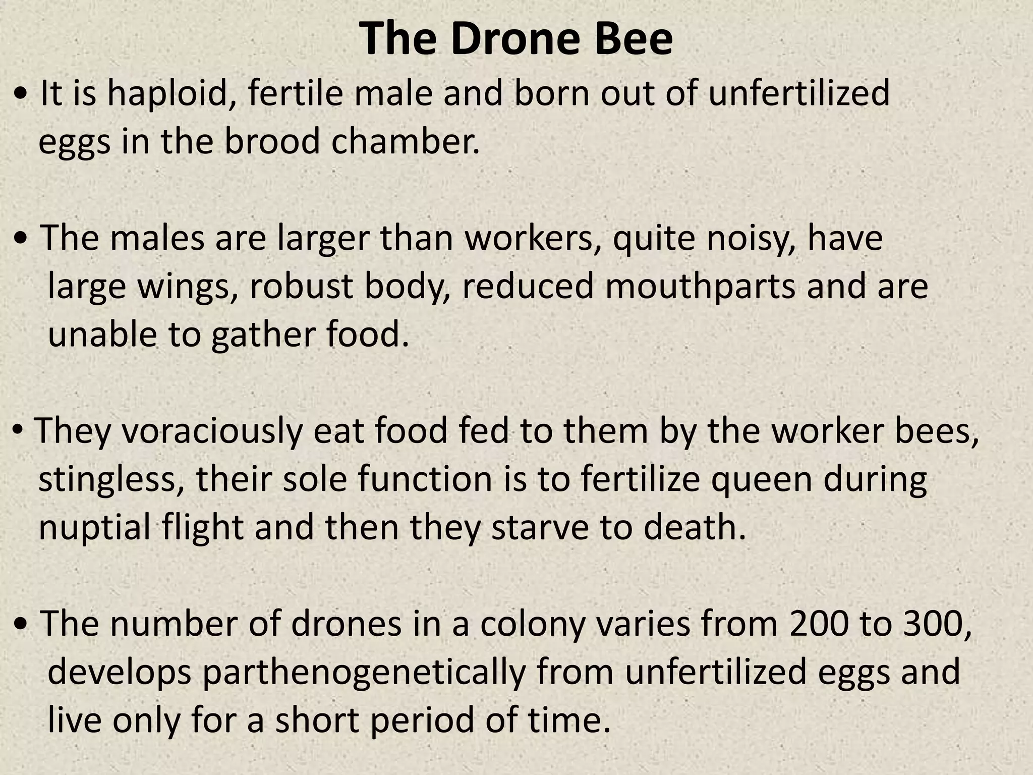 Apiculture types of honey bees and life cycle | PPTX
