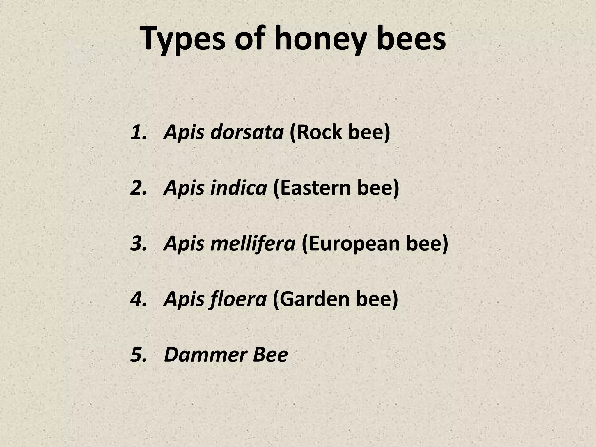 Apiculture types of honey bees and life cycle | PPTX