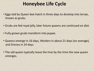 Apiculture types of honey bees and life cycle | PPTX