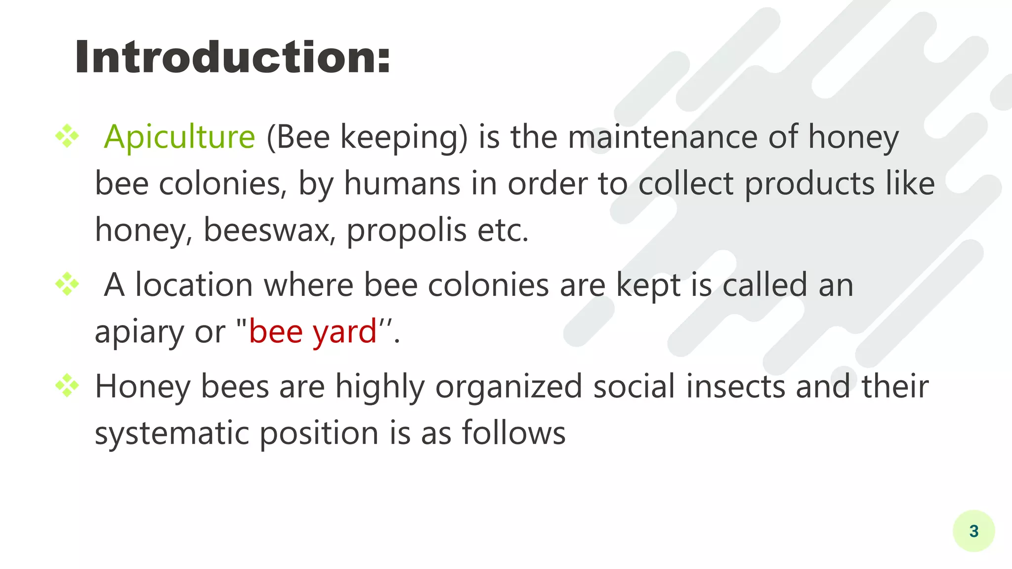 Apiculture (1) | PPT