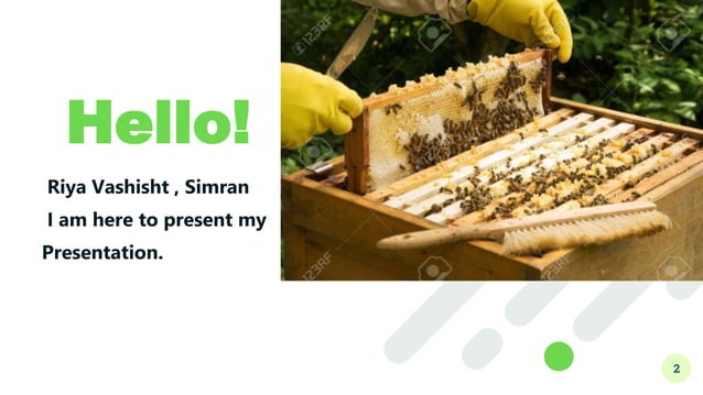 Apiculture (1) | PPT