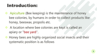 Apiculture (1) | PPT