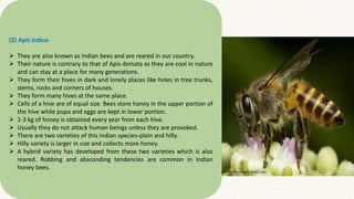 Apiculture123.pptx