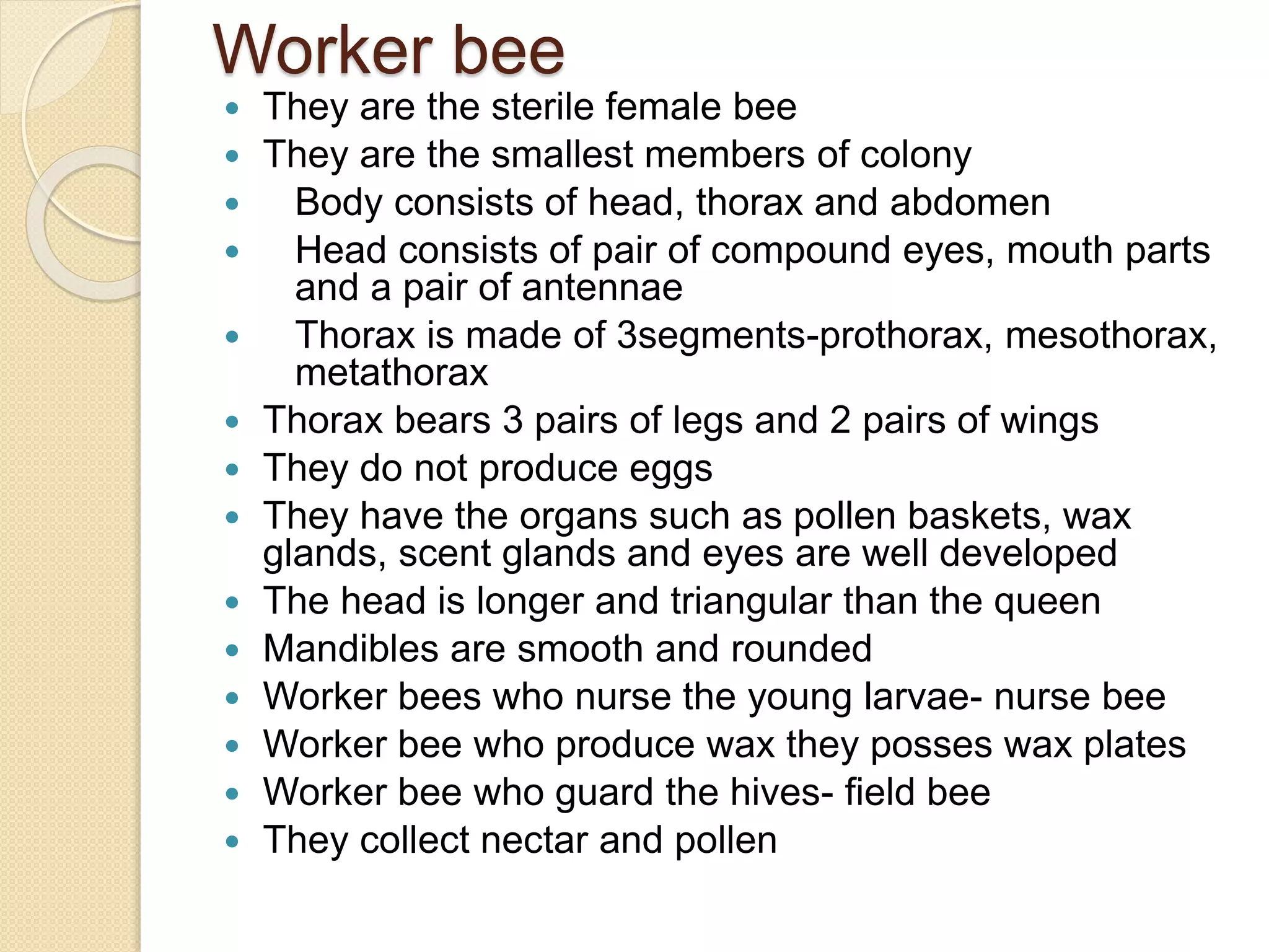 Apiculture and bee keeping.pptx
