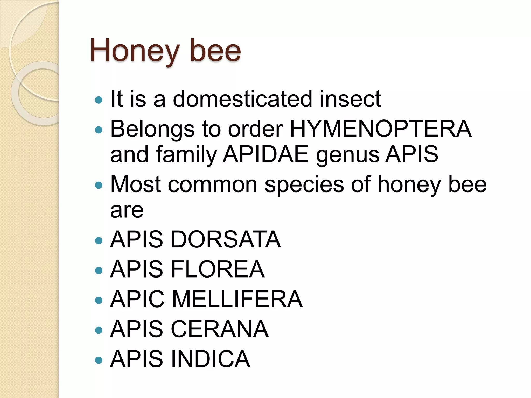 Apiculture and bee keeping.pptx