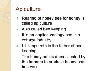 Apiculture and bee keeping.pptx