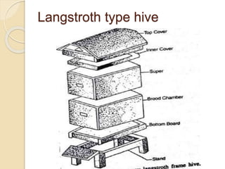 Apiculture and bee keeping.pptx