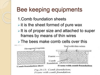 Apiculture and bee keeping.pptx