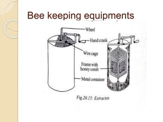Apiculture and bee keeping.pptx