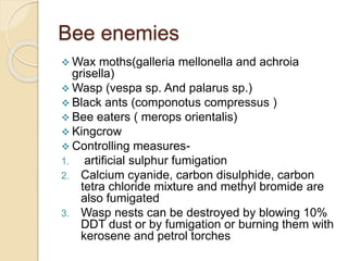 Apiculture and bee keeping.pptx