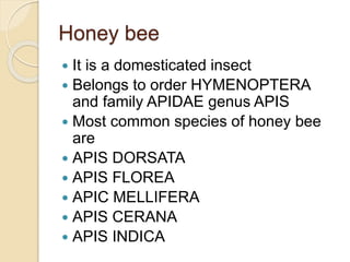 Apiculture and bee keeping.pptx