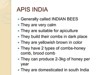 Apiculture and bee keeping.pptx