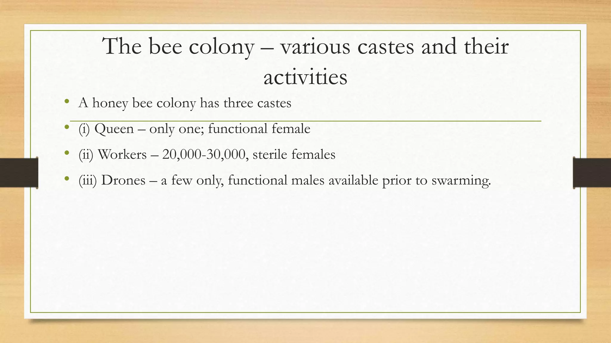 Apiculture in india & modern method of apculture | PPT