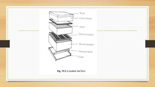 Apiculture in india & modern method of apculture | PPT