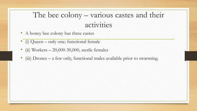 Apiculture in india & modern method of apculture | PPT