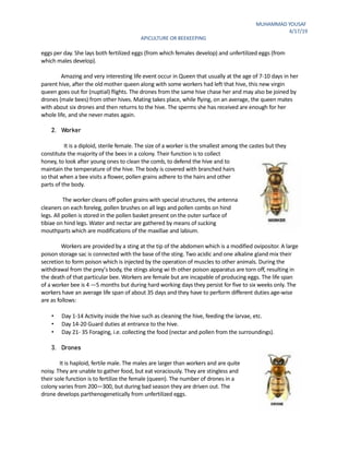 Apiculture or beekeeping-Raring of Honey Bee | PDF