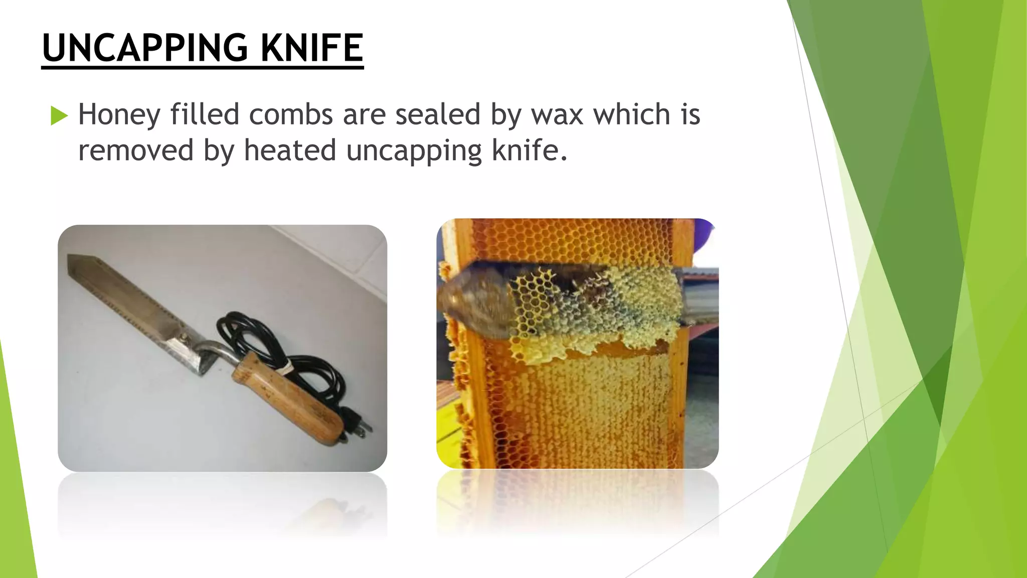 Apiculture ppt | PPTX