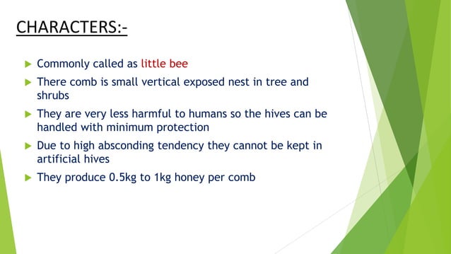 Apiculture ppt | PPTX | Beekeeping | Hobbies & Interests