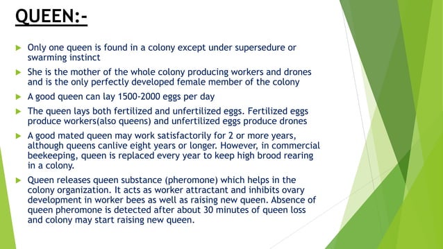 Apiculture ppt | PPTX | Beekeeping | Hobbies & Interests