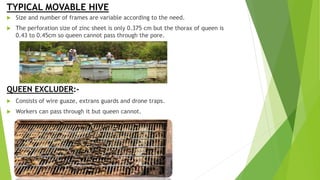 Apiculture ppt | PPTX