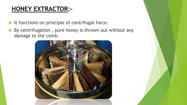 Apiculture ppt | PPTX | Beekeeping | Hobbies & Interests