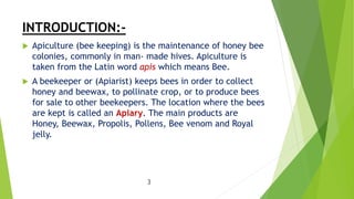 Apiculture ppt | PPTX