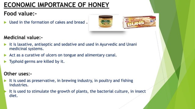 Apiculture ppt | PPTX | Beekeeping | Hobbies & Interests