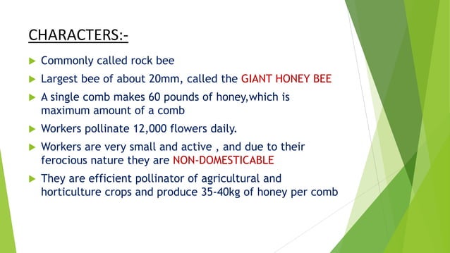 Apiculture ppt | PPTX | Beekeeping | Hobbies & Interests