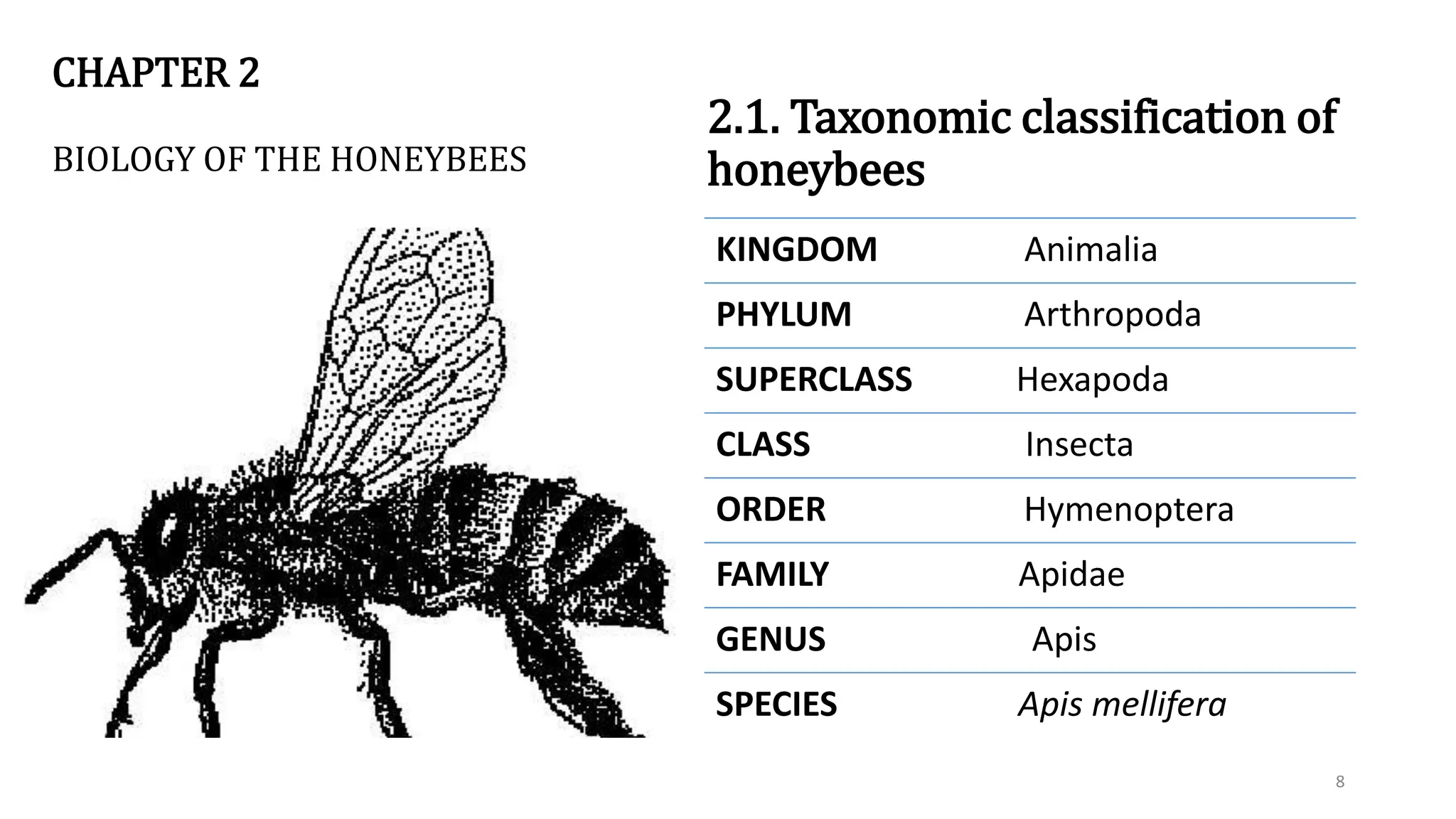 Introduction to Apiculture for Animal science | PPTX | Beekeeping ...