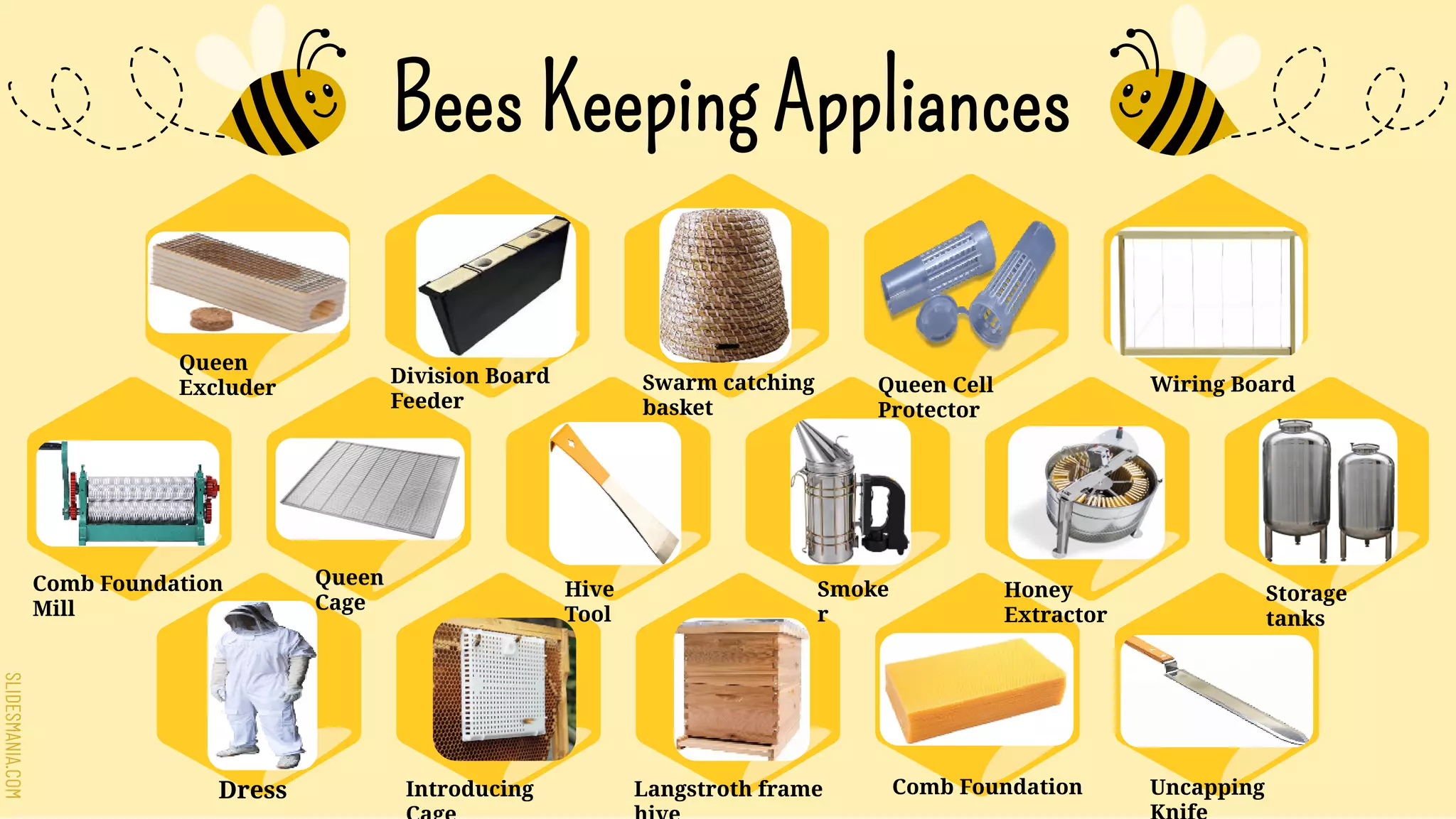 Apiculture presentation (group 2) | PPT