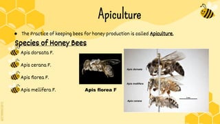 Apiculture presentation (group 2) | PPT