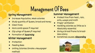 Apiculture presentation (group 2) | PPT