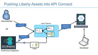 WebSphere Connect and API Discovery | PDF | Cloud Computing | Internet