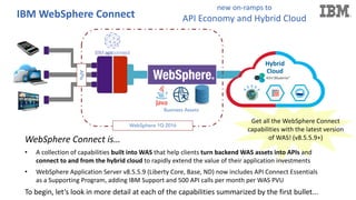WebSphere Connect and API Discovery | PDF | Cloud Computing | Internet