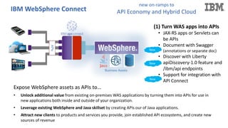 WebSphere Connect and API Discovery | PDF | Cloud Computing | Internet