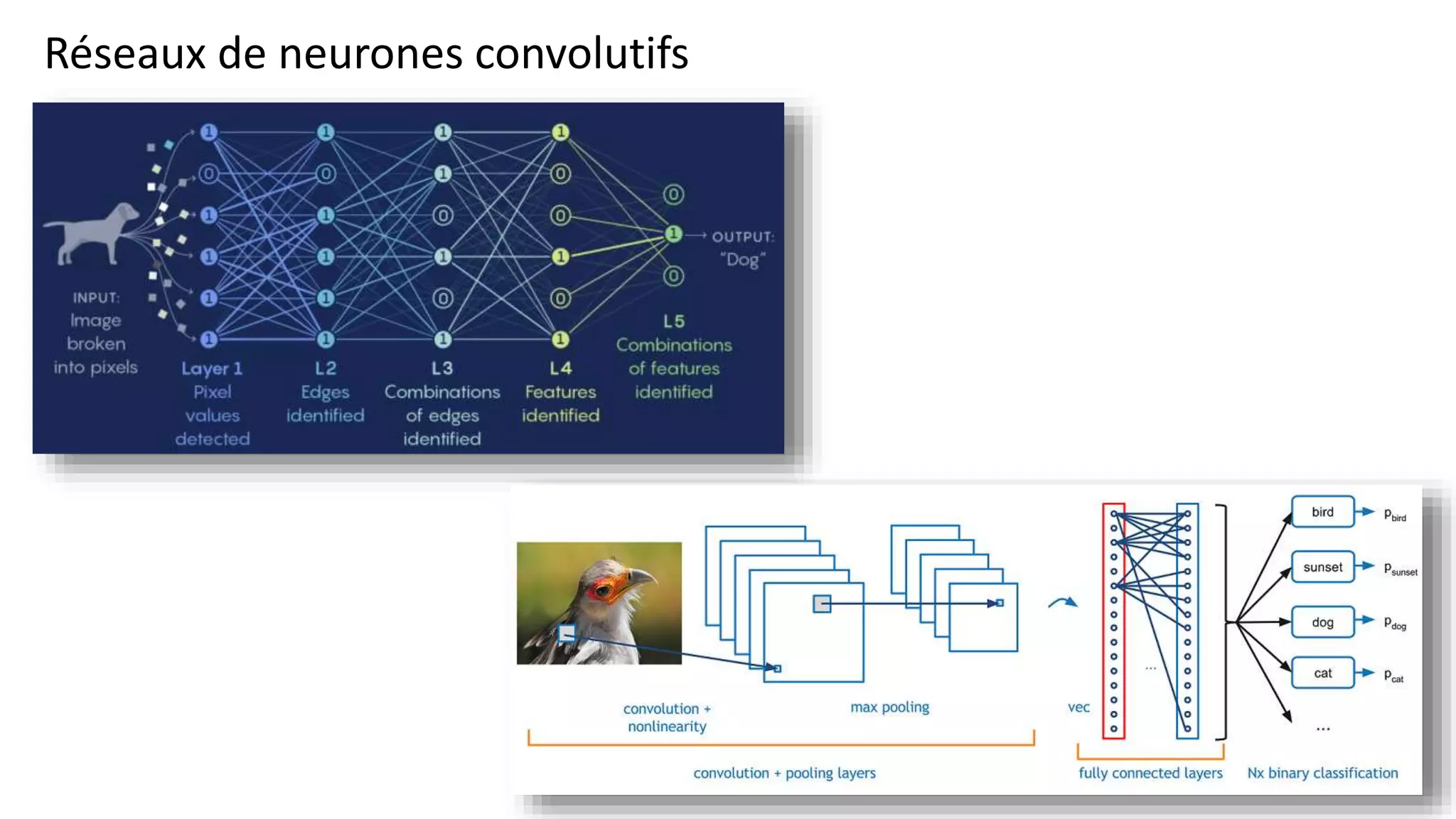 API(dot)Culture : Images et IA | PPTX