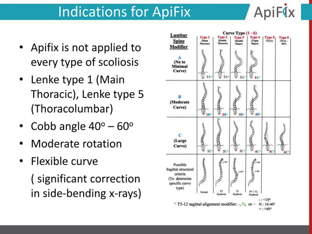 Apifix presentation english version | PPTX