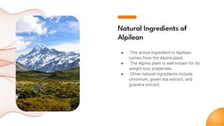 Apilean Secret For Healthy Weight Loss | PPT