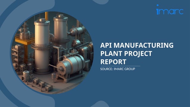 API Manufacturing Plant Project Report .pptx