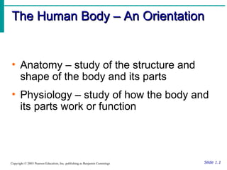 A&P Human Body Orientation | PPT